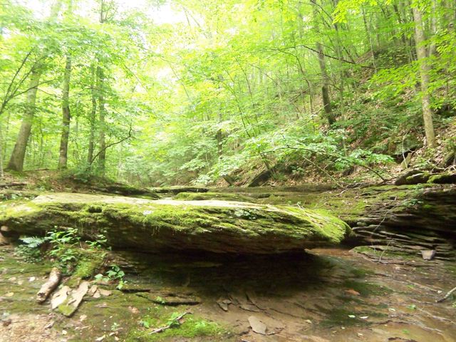 Flat Rocks ‣ In The Viewfinder