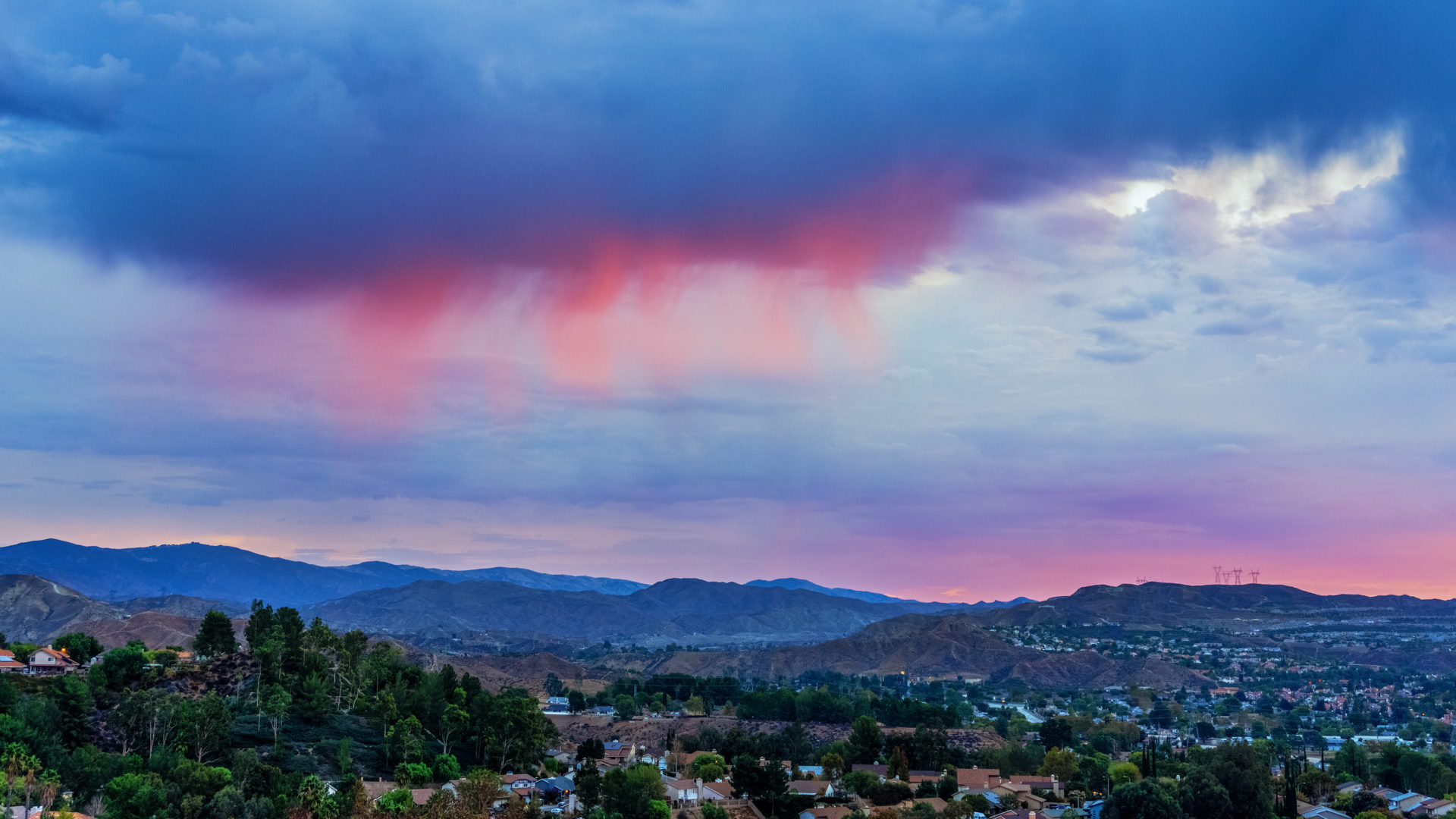 Magenta Rain