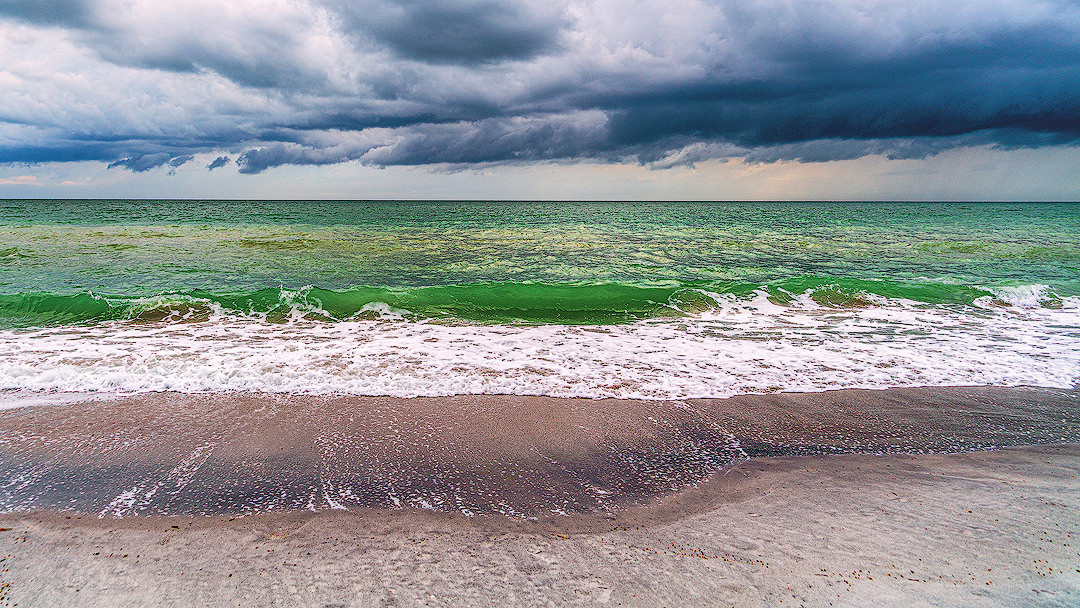 Boca Grande ‣ In The Viewfinder