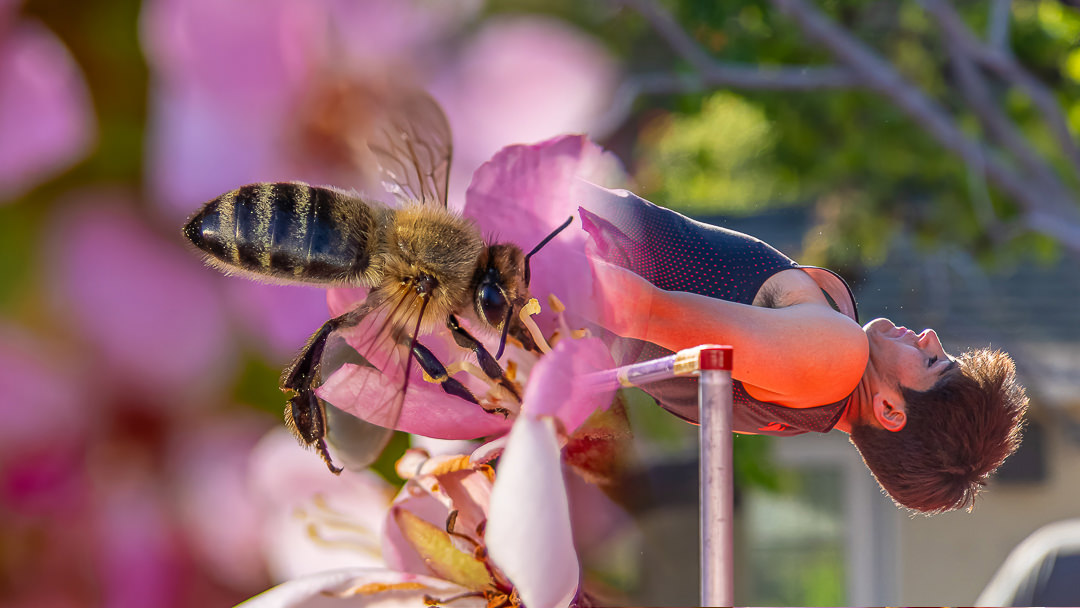 60-600MM And Decent Macro Photos Too? ‣ In The Viewfinder